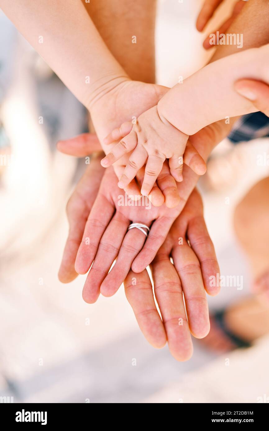 Top of palms hi-res stock photography and images - Alamy