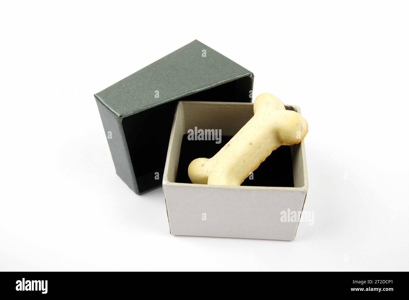 single dog biscuit present in a presentation box on a white background ...