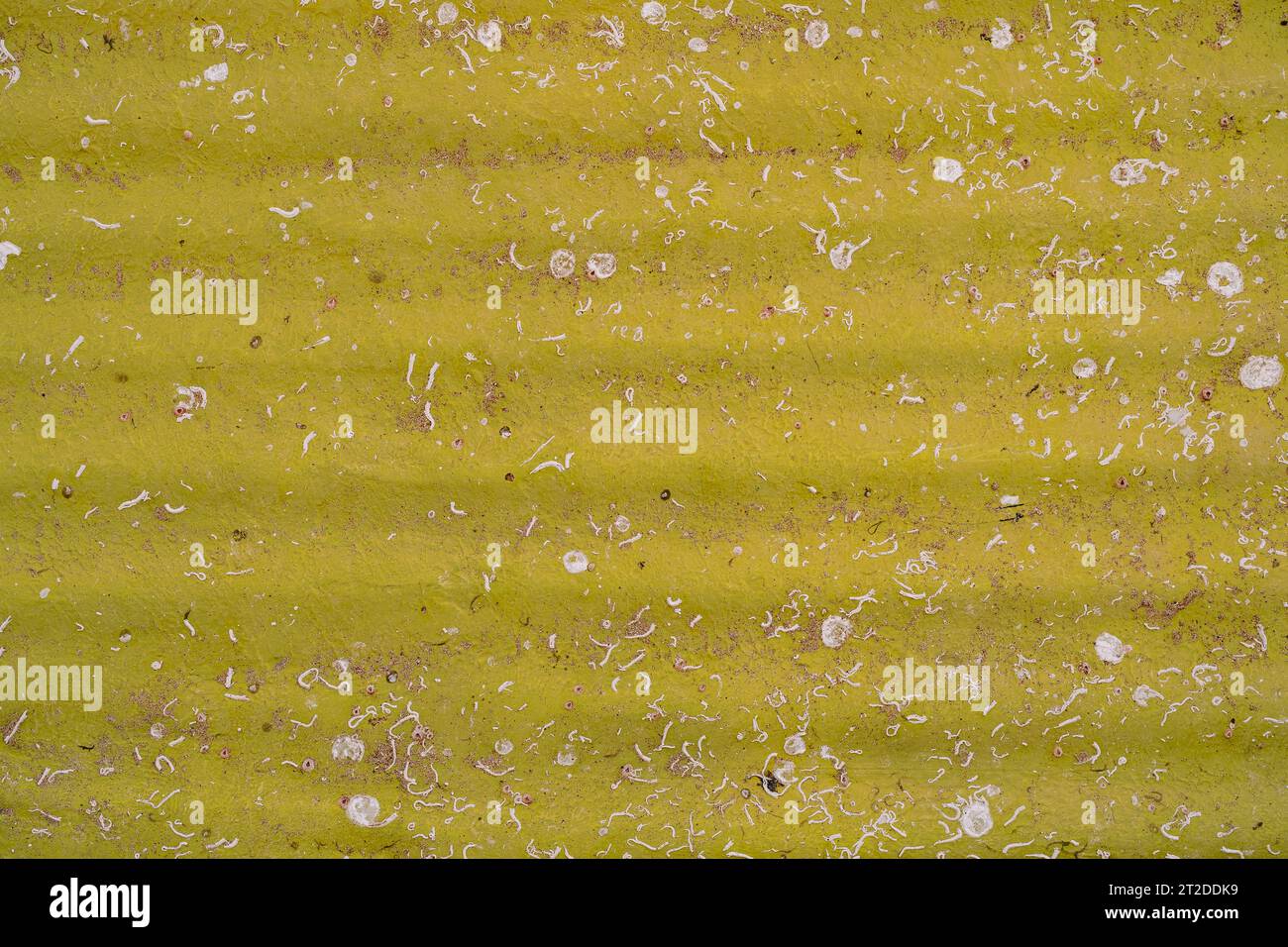 Moldy texture hi-res stock photography and images - Alamy