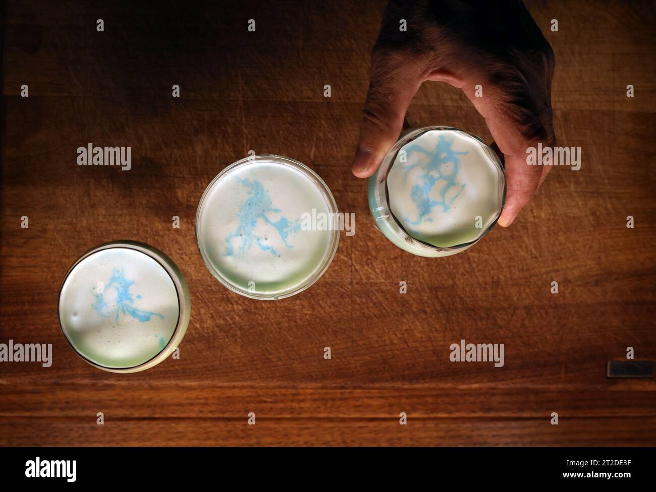 FILED - 13 October 2023, Bavaria, Munich: Charles Schumann prepares a ...