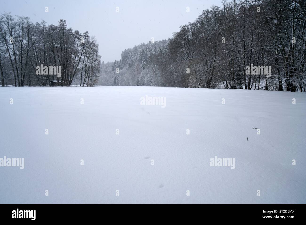 Winter with lots of snow in Bavaria is beautiful again every year Stock ...
