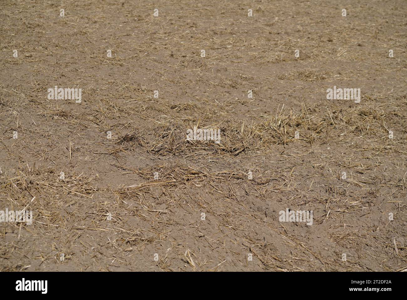 Soil from the quarry as a waste product and for versatile use in the ...