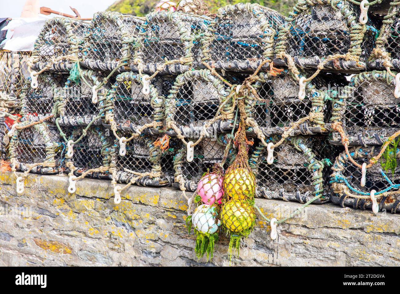 Port Isaac Cornwall, lobster and crab pots stacked on the harbour wall ...