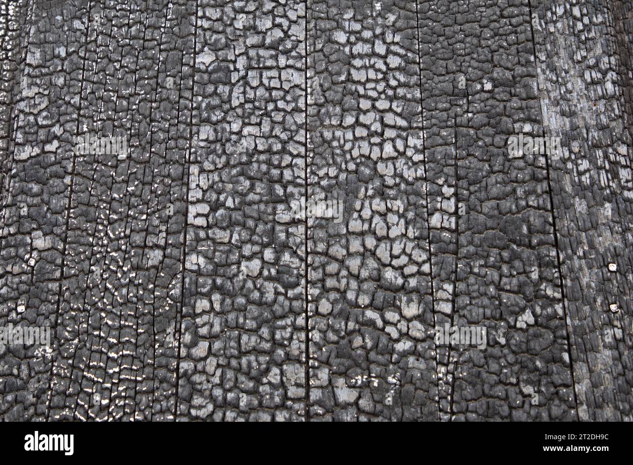 wood texture background burned wooden cutting board planks old panel ...