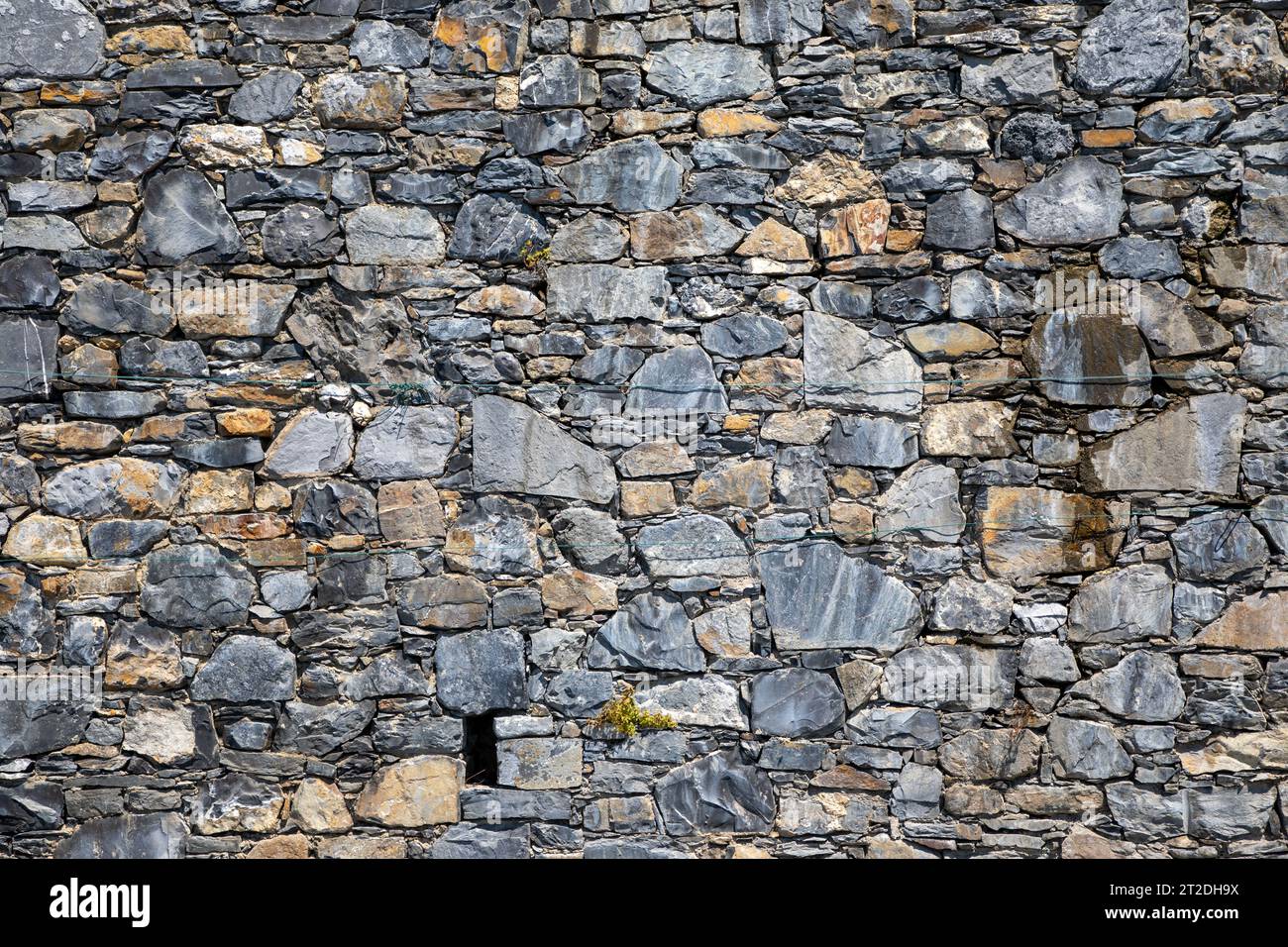 Several different shades hi-res stock photography and images - Alamy