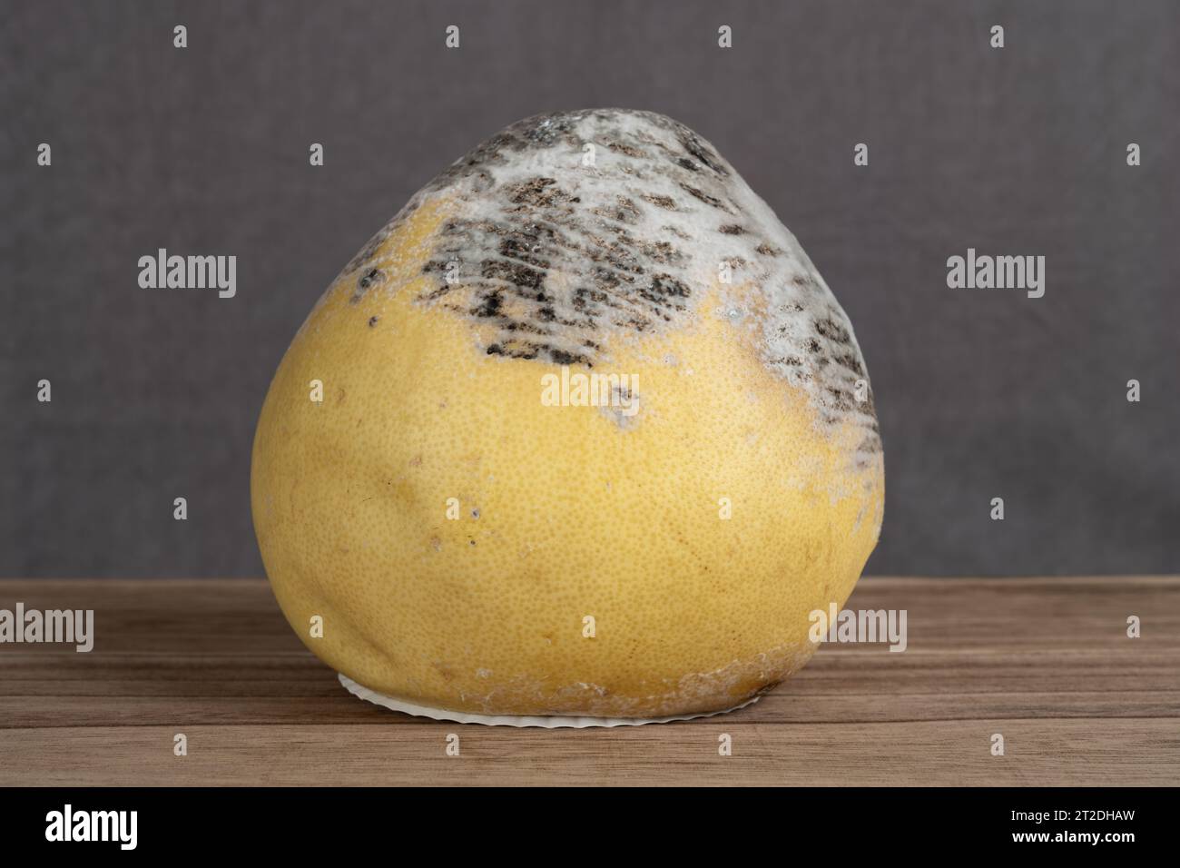 side view badly rotten and moldy pomelo Stock Photo - Alamy