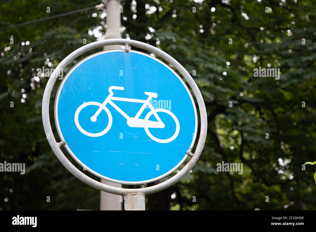 blue round sign bike path road signpost and cycle path markings ...