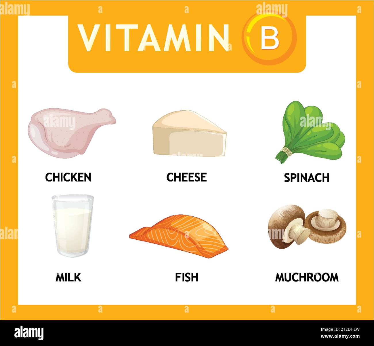 Illustration of vitamin B-rich foods in a cartoon style Stock Vector ...