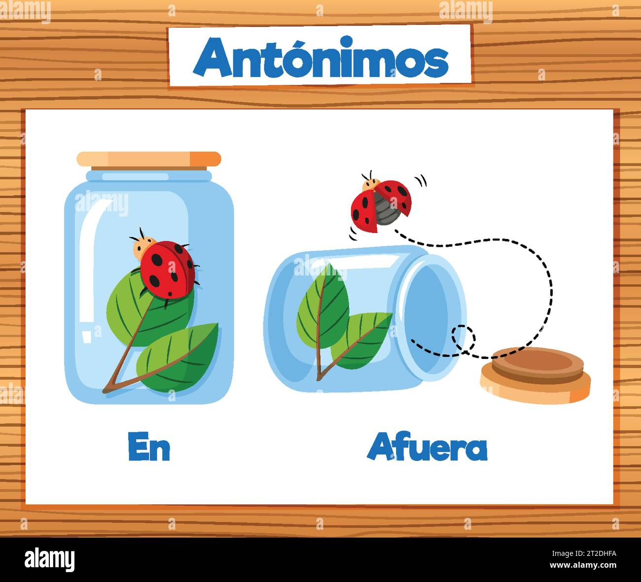 Illustrated word card featuring antonyms in Spanish: En and Afuera ...
