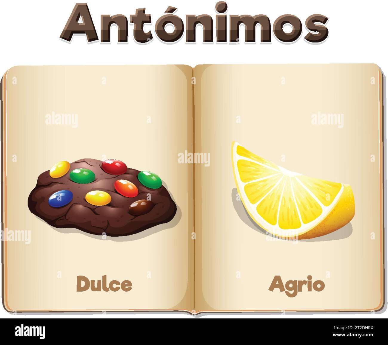 Colorful vector illustration of Spanish antonym word card Stock Vector ...