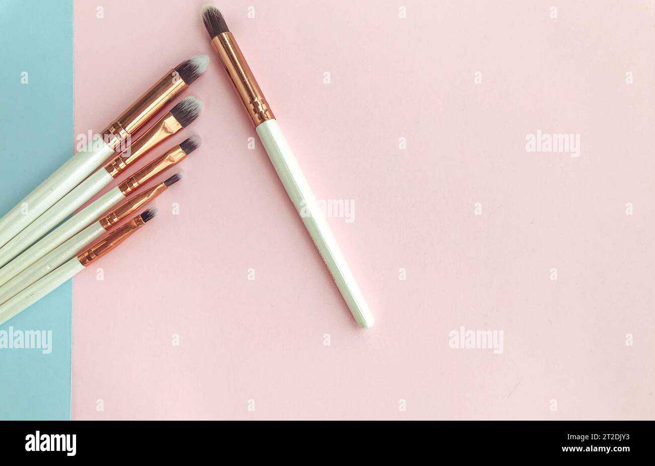 makeup brushes on a pink and blue background. a set of brushes for ...