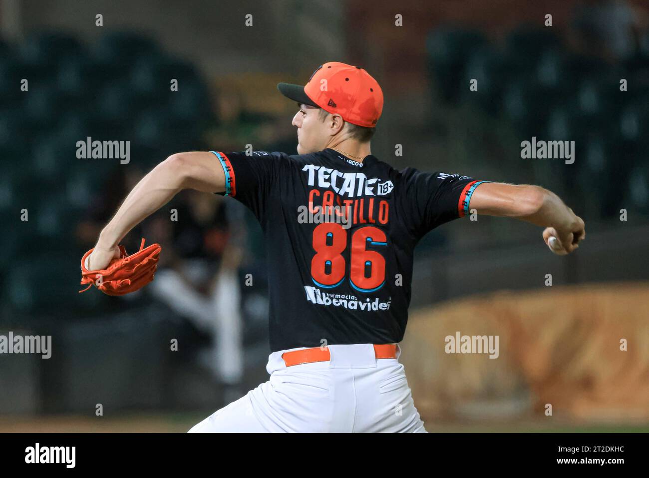 HERMOSILLO, MEXICO - OCTOBER 18: Jose Castillo relief pitcher for the ...