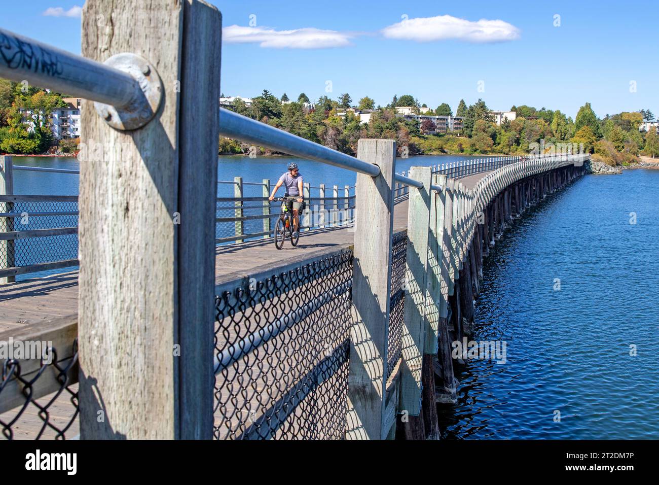 Cycling across the Selkirk Trestle Bridge, Victoria, Vancouver Island ...