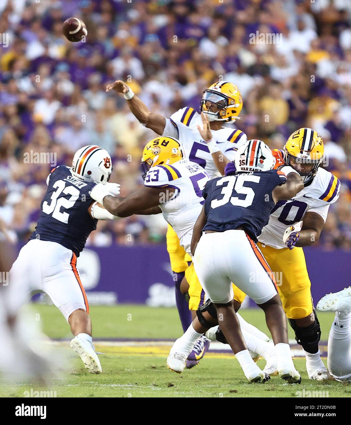 Tiger lance hi-res stock photography and images - Alamy