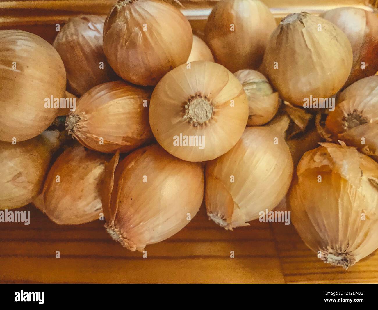 dry onions are dried in the apartment. large heads in the peel lie to ...