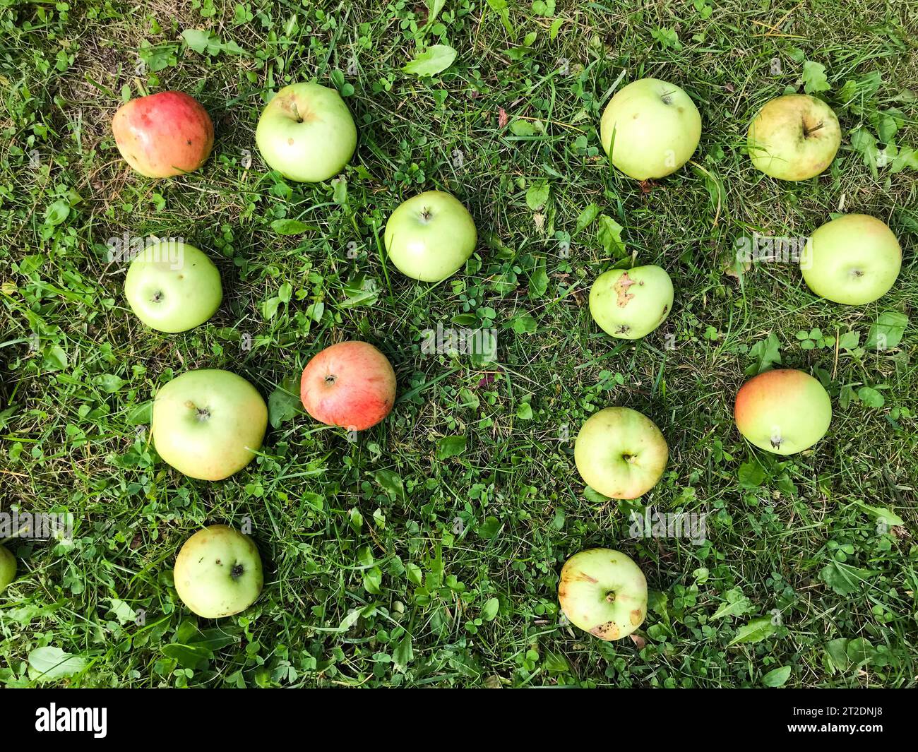 Edi alphabet hi-res stock photography and images - Alamy