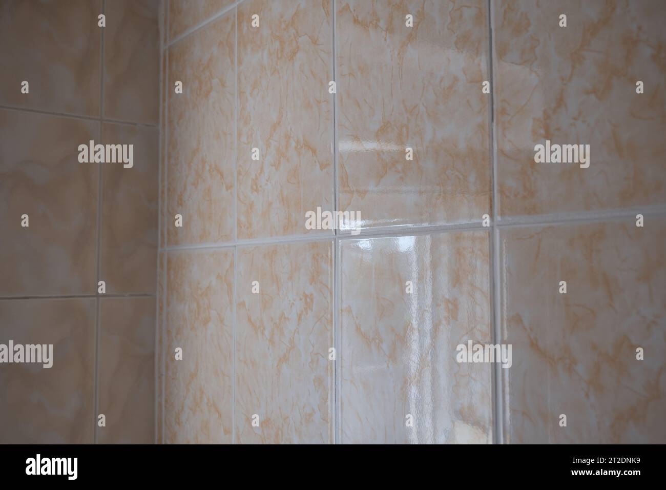 Ceramic bathroom tiles or faience on a wall. Close up shot, light brown ...