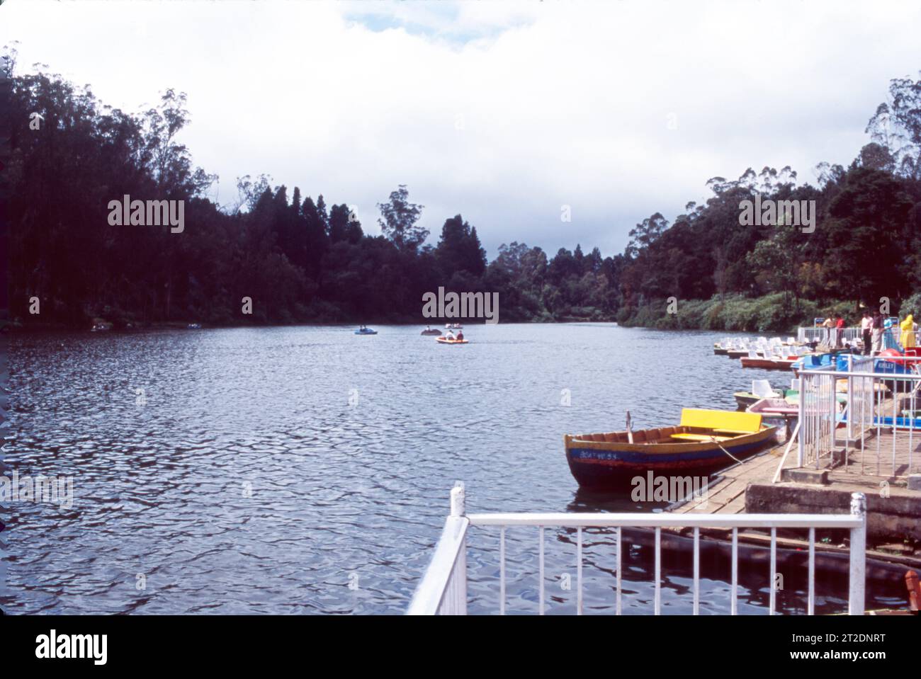 Boating at Lake in Ooty, Tamil Nadu, India Stock Photo - Alamy