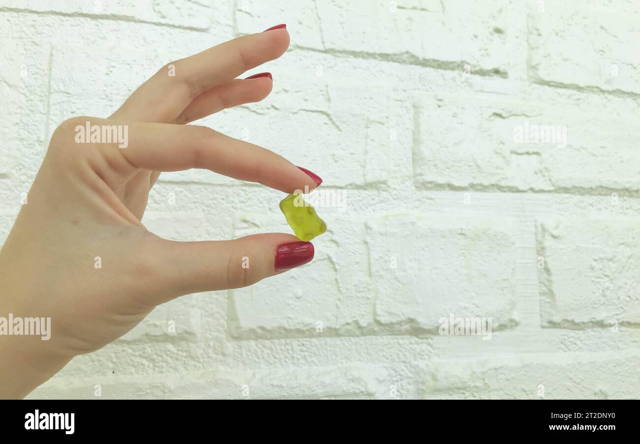 a gummy yellow bear in the hands of a girl with a red manicure. teddy ...