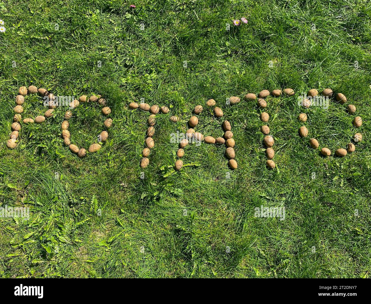 Event fresh grass letters hi-res stock photography and images - Alamy