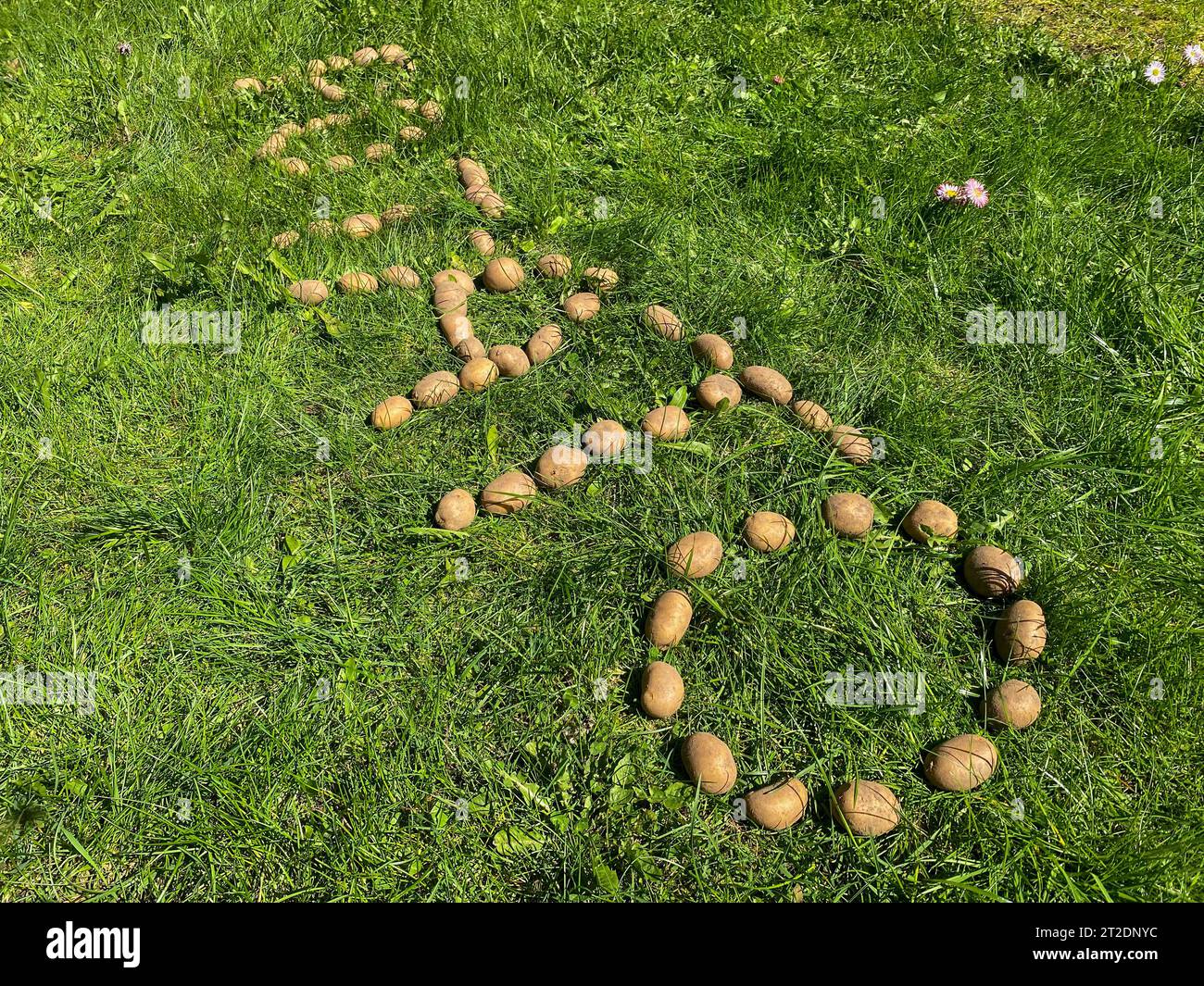Potato letters hi-res stock photography and images - Alamy