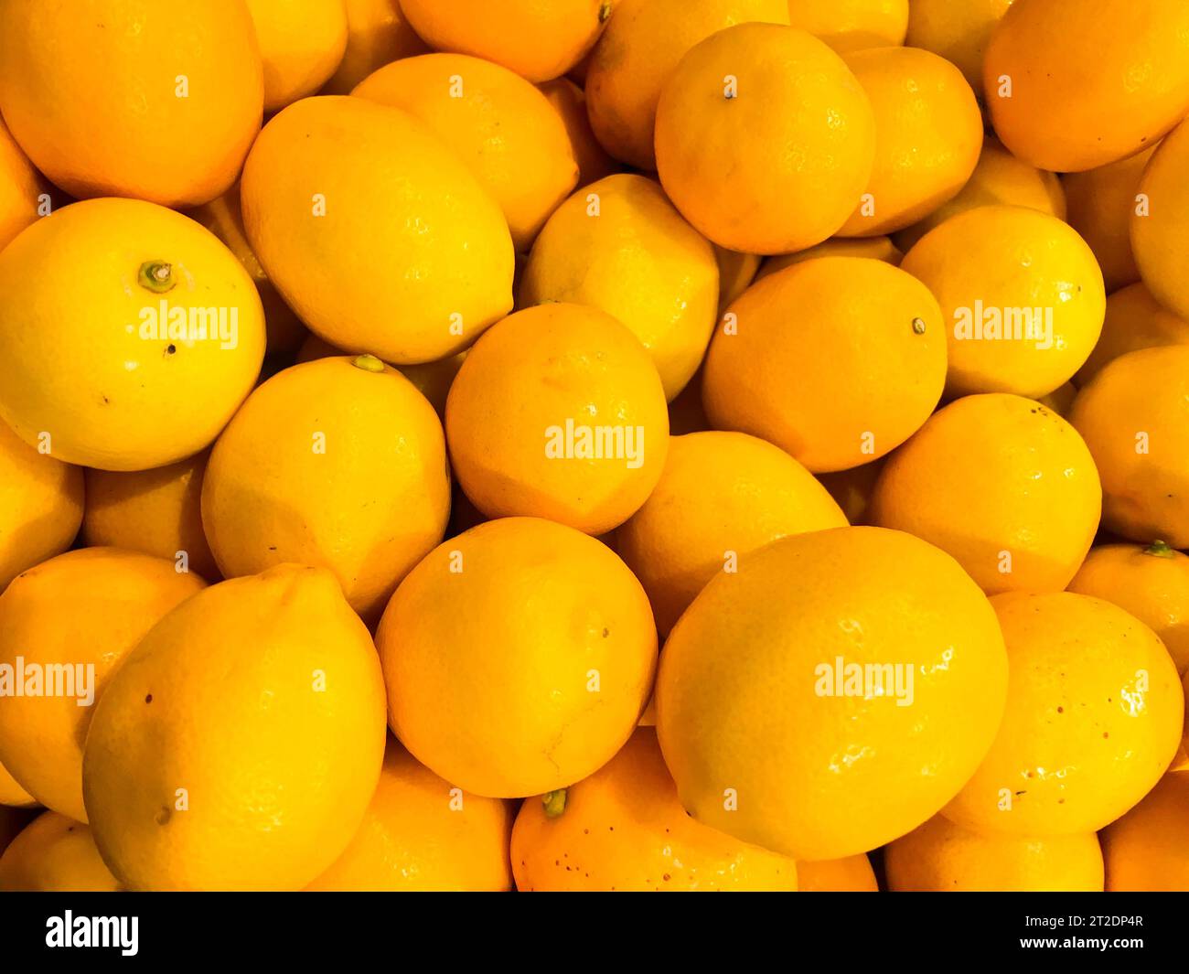 Beautiful yellow ripe southern natural sour vitamin delicious ripe ...