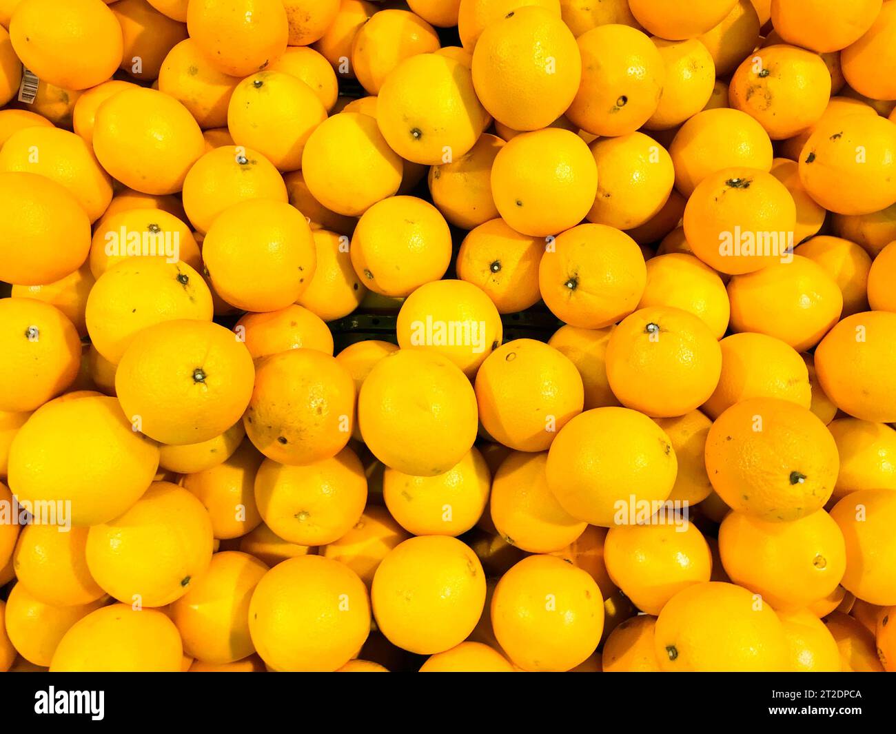 Beautiful yellow, orange, natural, sweet, tasty, ripe, soft, round ...