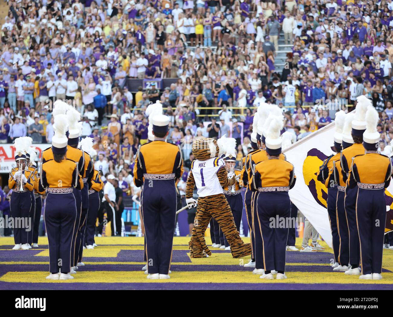 LSU Tigers mascot Mike the Tiger waits for the team to hit the field ...