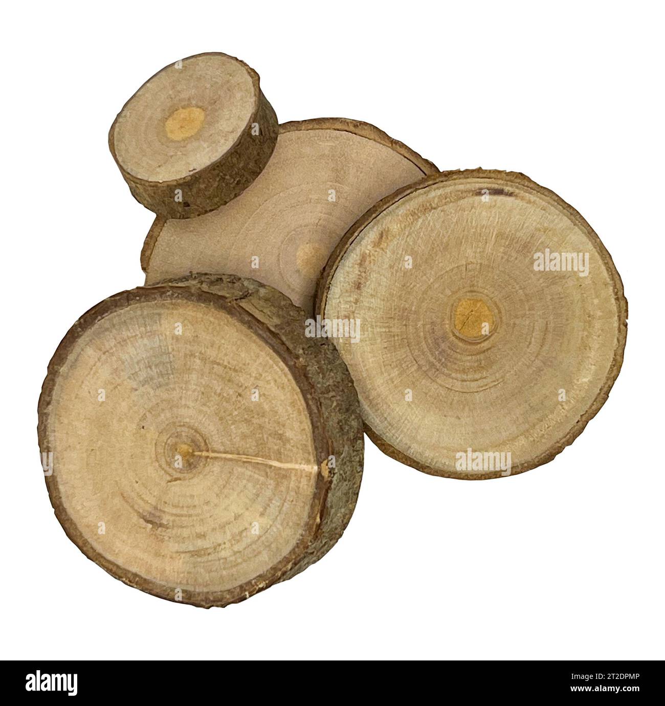 Log photography hi-res stock photography and images - Alamy
