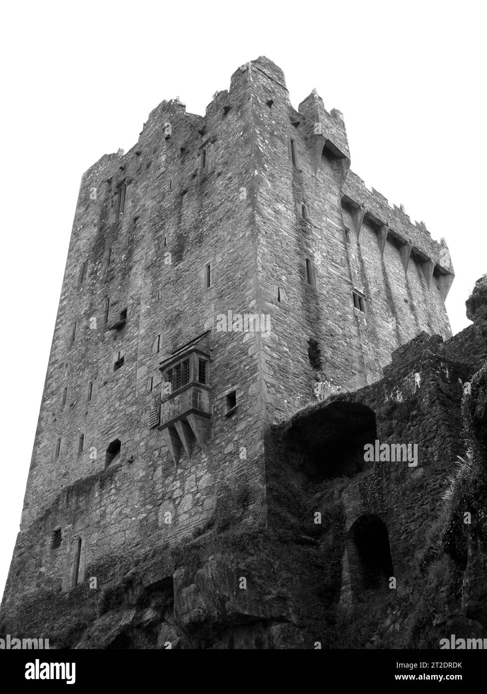 Old celtic castle tower isolated over white background, Blarney castle ...