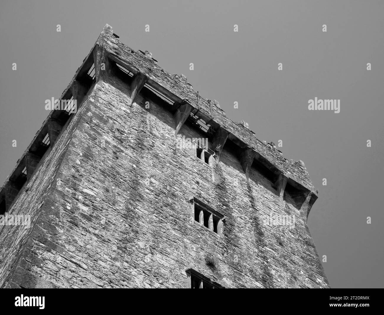Old celtic castle tower, Blarney castle in Ireland, old ancient celtic ...