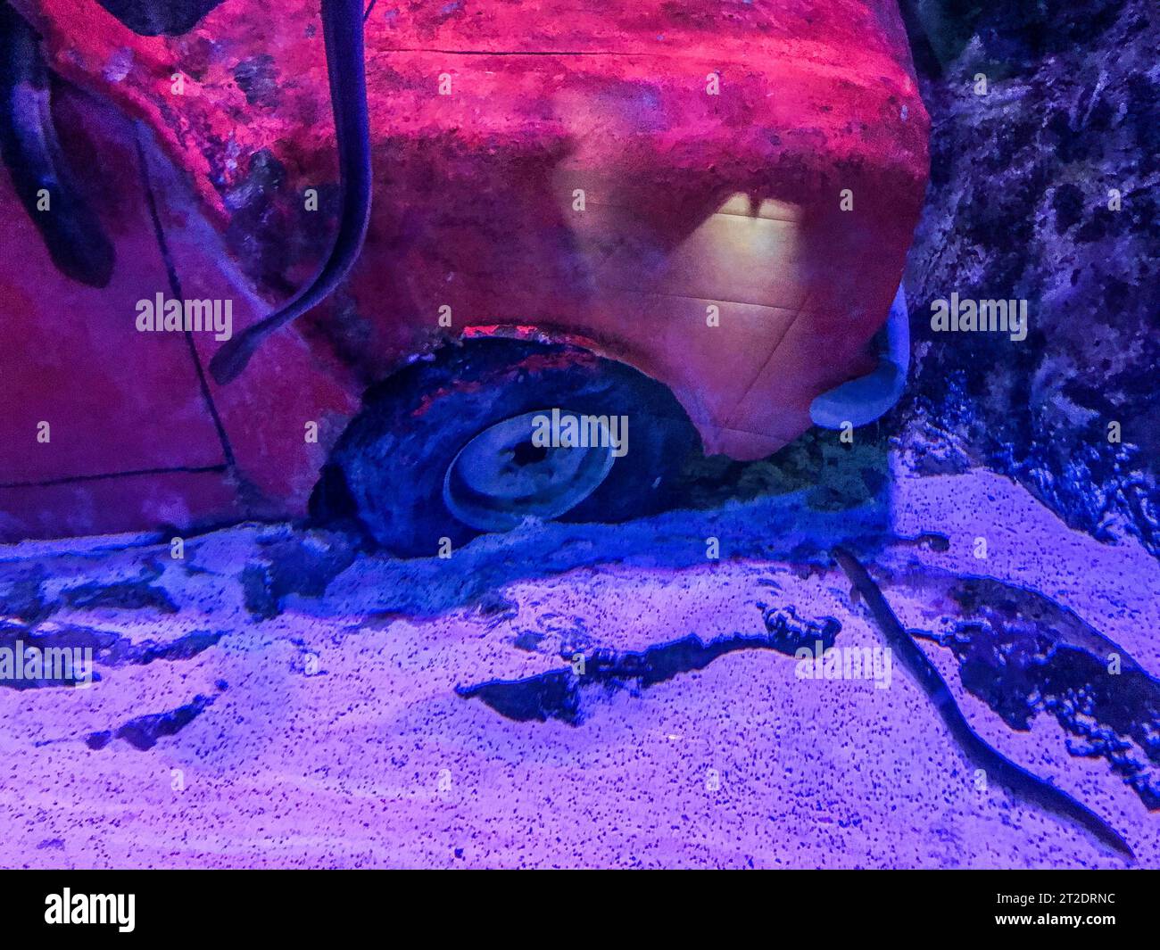 bright, red car sank at the bottom of the sea. car without windows and ...