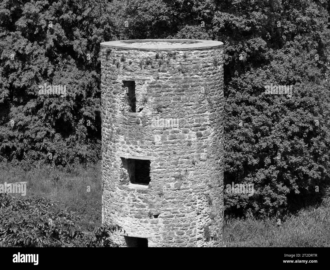 Old celtic castle tower among the trees, Blarney castle in Ireland, old ...
