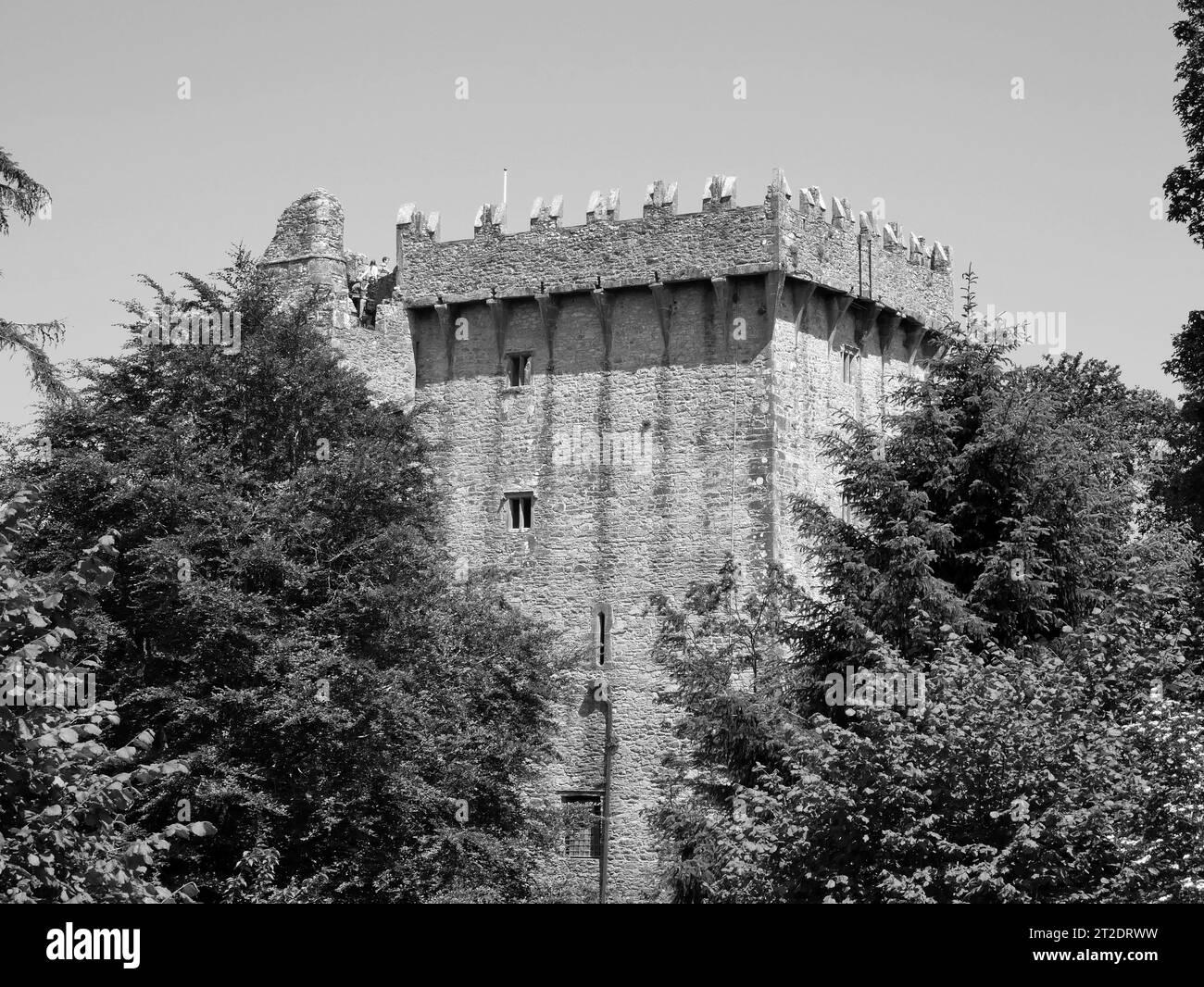 Old celtic castle tower in the trees, Blarney castle in Ireland, old ...