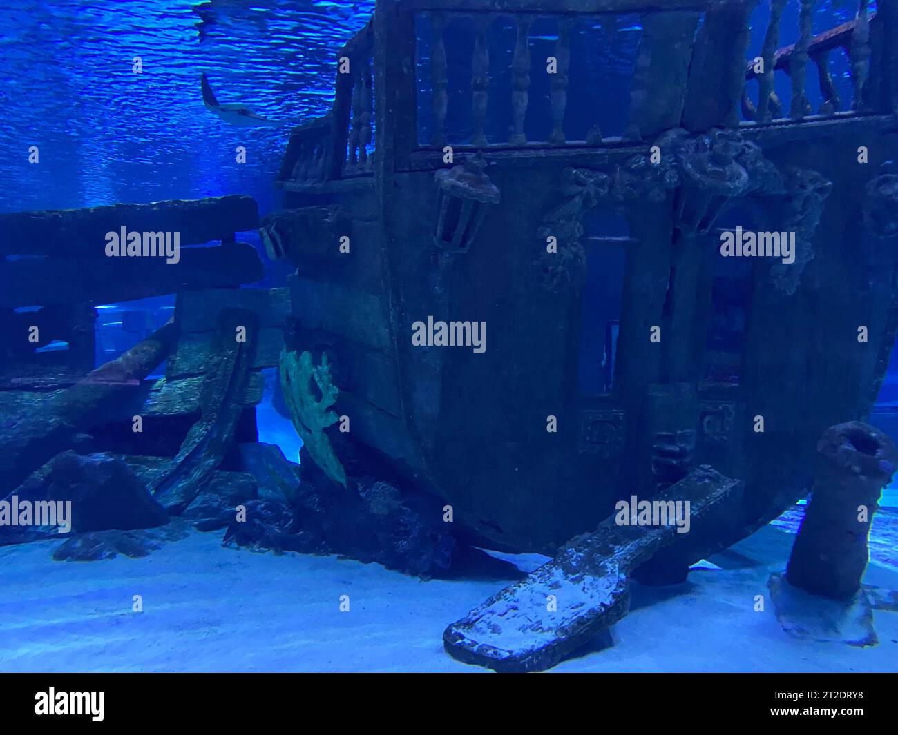 Underwater photography sunken ship wreck hi-res stock photography and ...