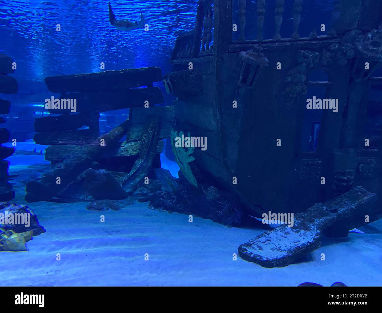Underwater photography sunken ship wreck hi-res stock photography and ...