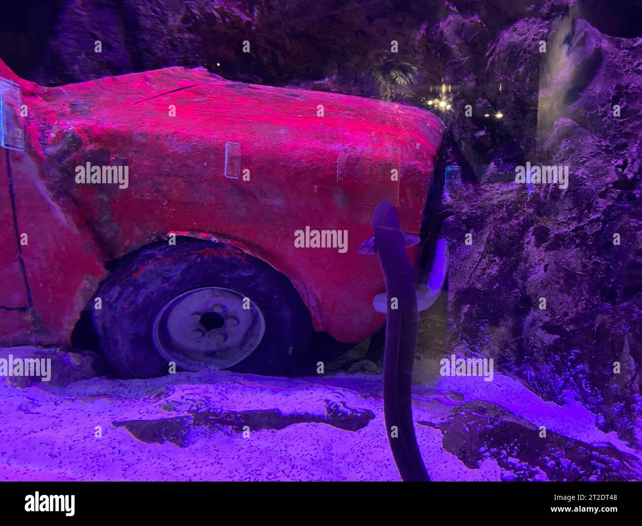 Underwater photo of a car in the sea Stock Photo - Alamy