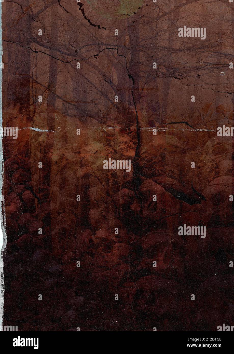 Skull wallpaper or background design, for halloween party or horror ...