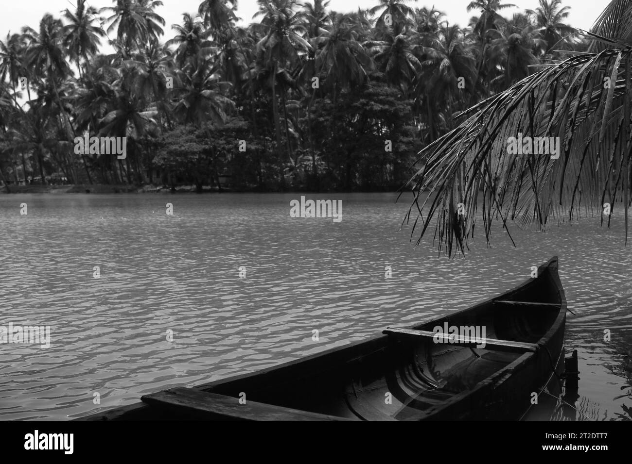 Beautiful backwater of Kerala, passengers travelling on a wooden boat ...