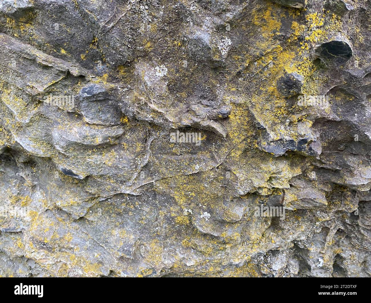 Natural beautiful textural sharp hard stone convex gray covered with ...