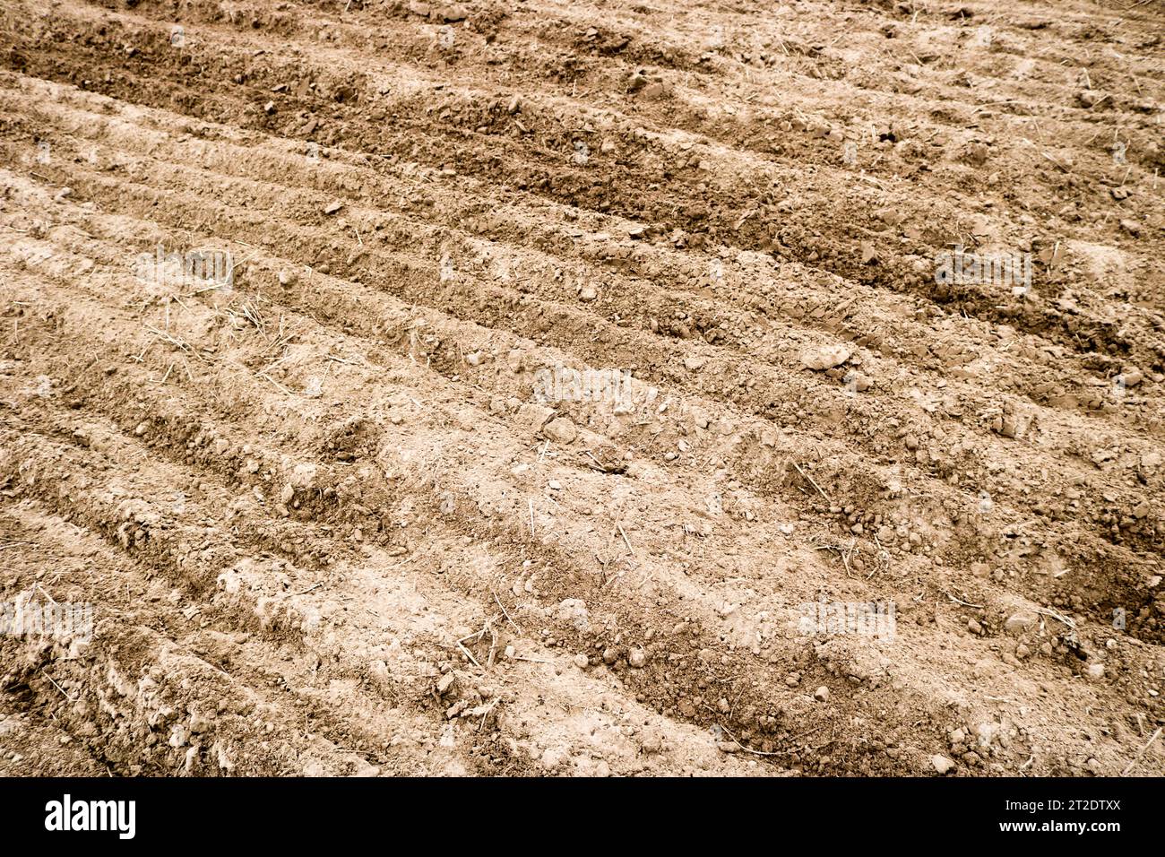 Texture of brown dug up earth with beds, pebbles and sand background ...