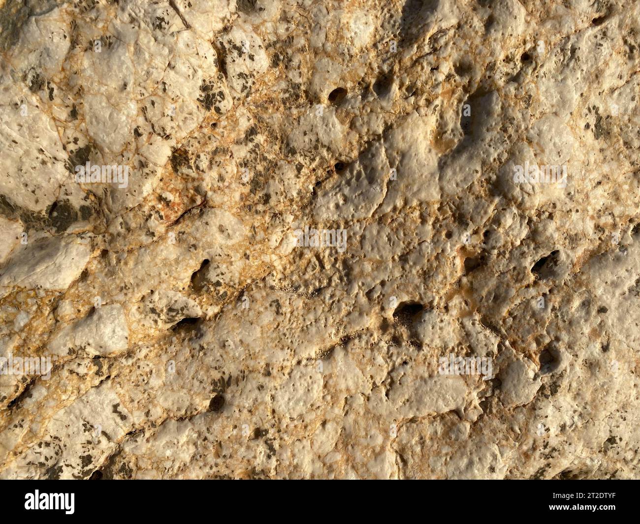 texture of a wall of sandy rock from a yellow friable old rotten stone ...