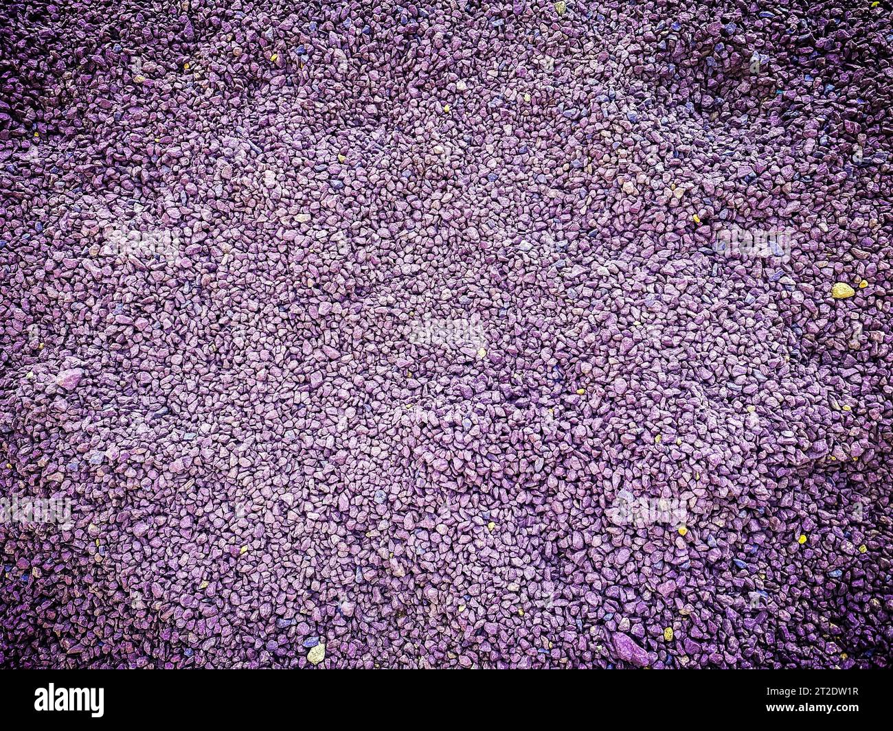 Pile of small gravel stones in purple tone. Seasonal natural background ...