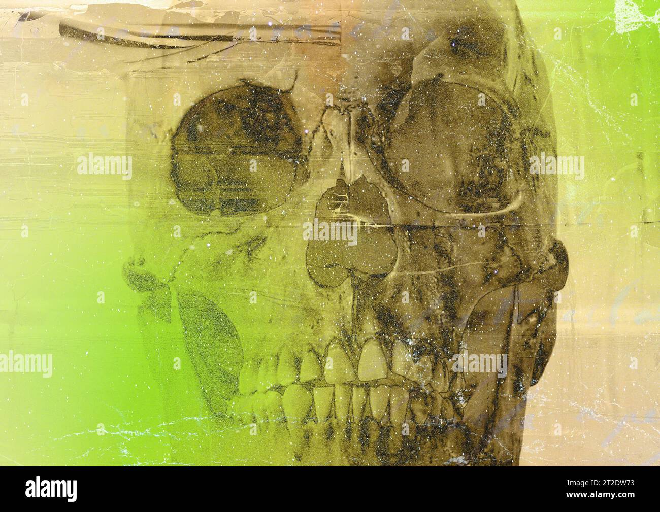 Halloween vertical background with pumpkin, graveyard, haunted skull ...