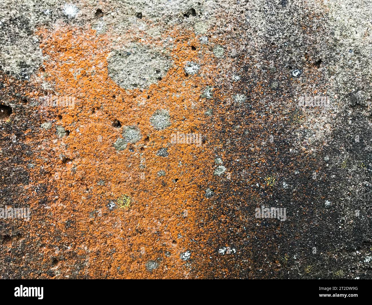 natural texture, a piece of stone. natural natural color. orange rust ...