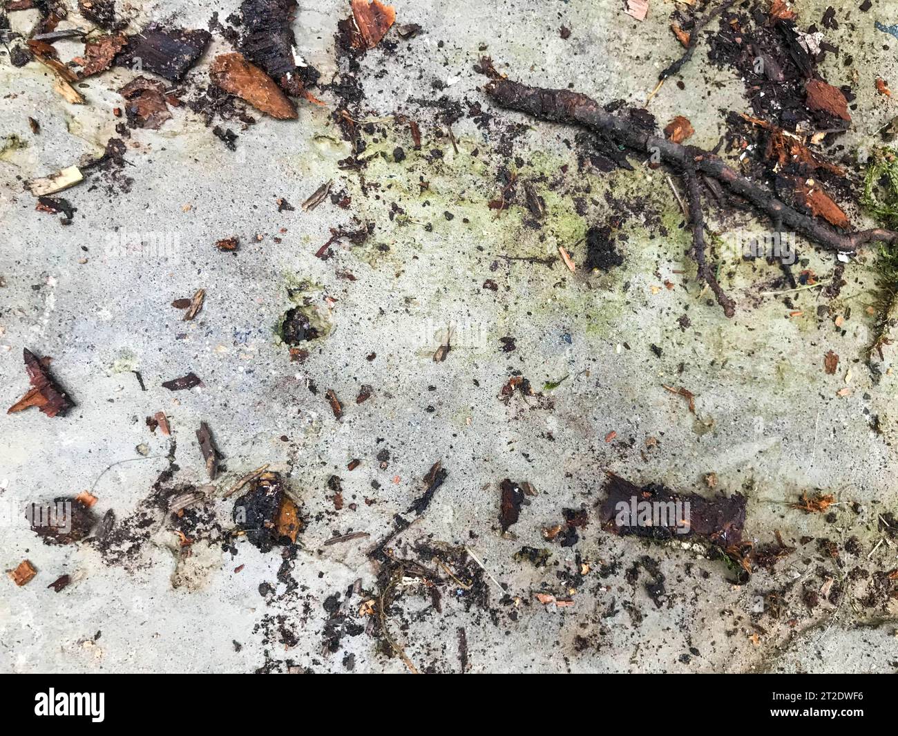 texture of silver color. metal sheet with pieces of wood. the ...