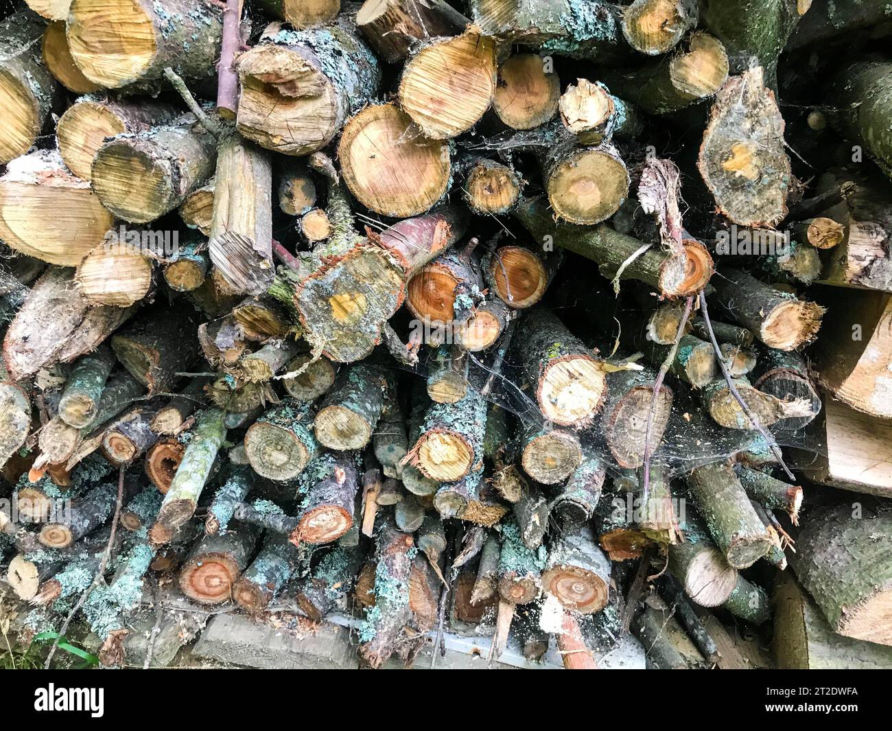 Even heating hi-res stock photography and images - Alamy