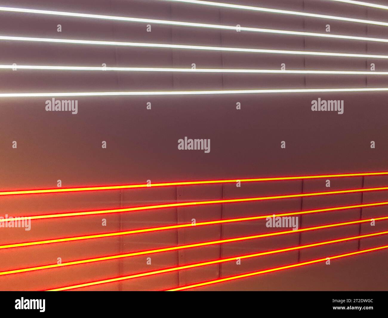 Texture of red and white glowing bright neon LED multicolored laser ...