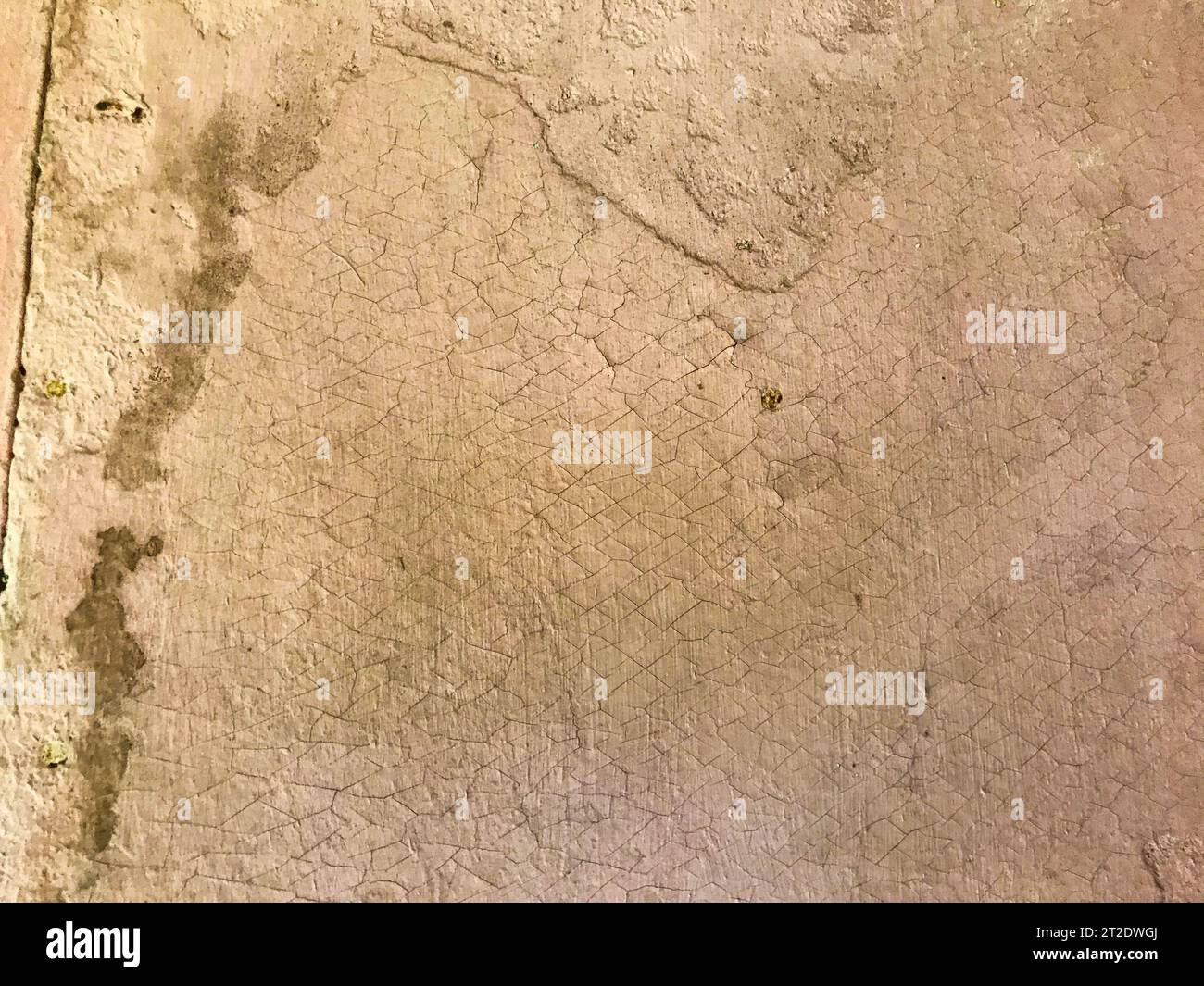 texture. cracked pink paint. the paint cracks with a mesh. on the paint ...