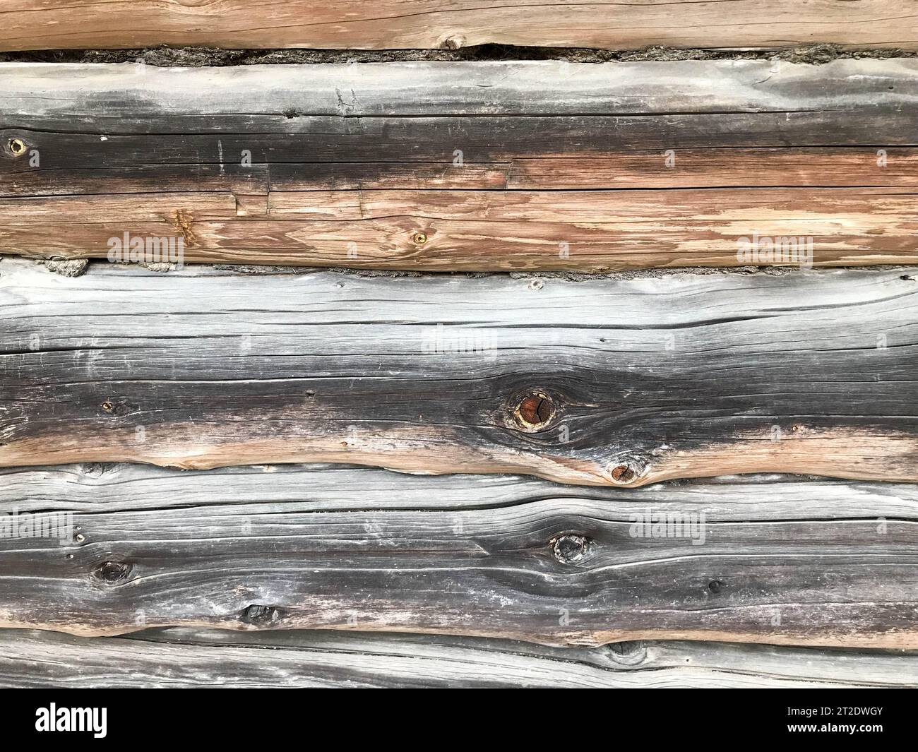 Texture of a black gray old wood wall made of logs, a fence of ...